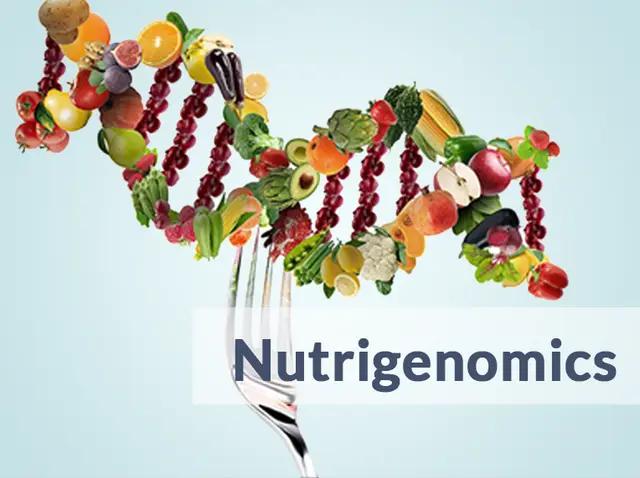 Nutrigenomics - Melisa Kuehn